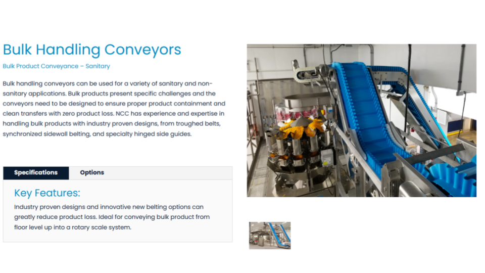 Bulk Conveyor - Non-Sanitary - Futura Automation